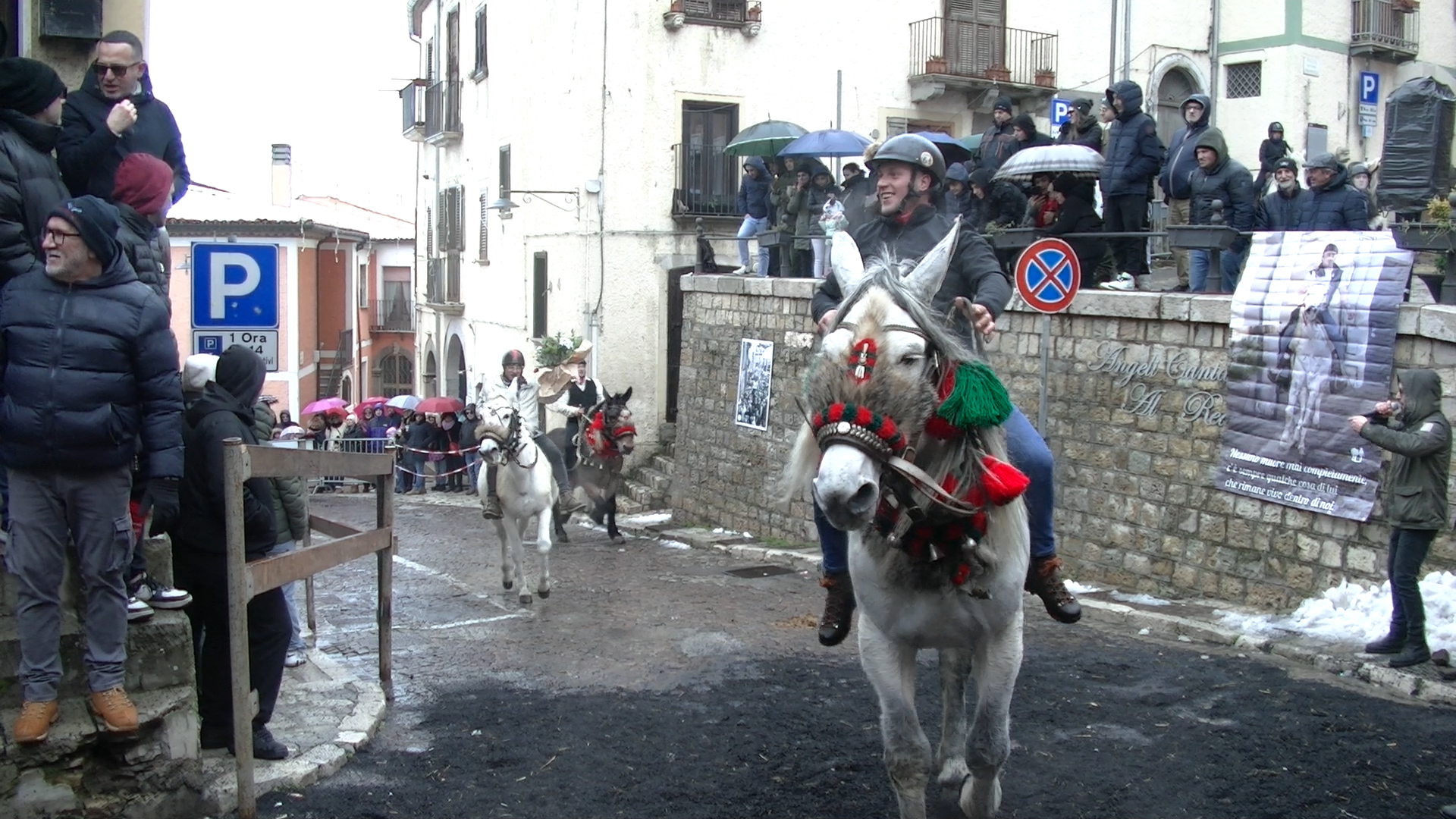 Pignola: il palio per festeggiare il Santo patrono - Ufficio Stampa ...